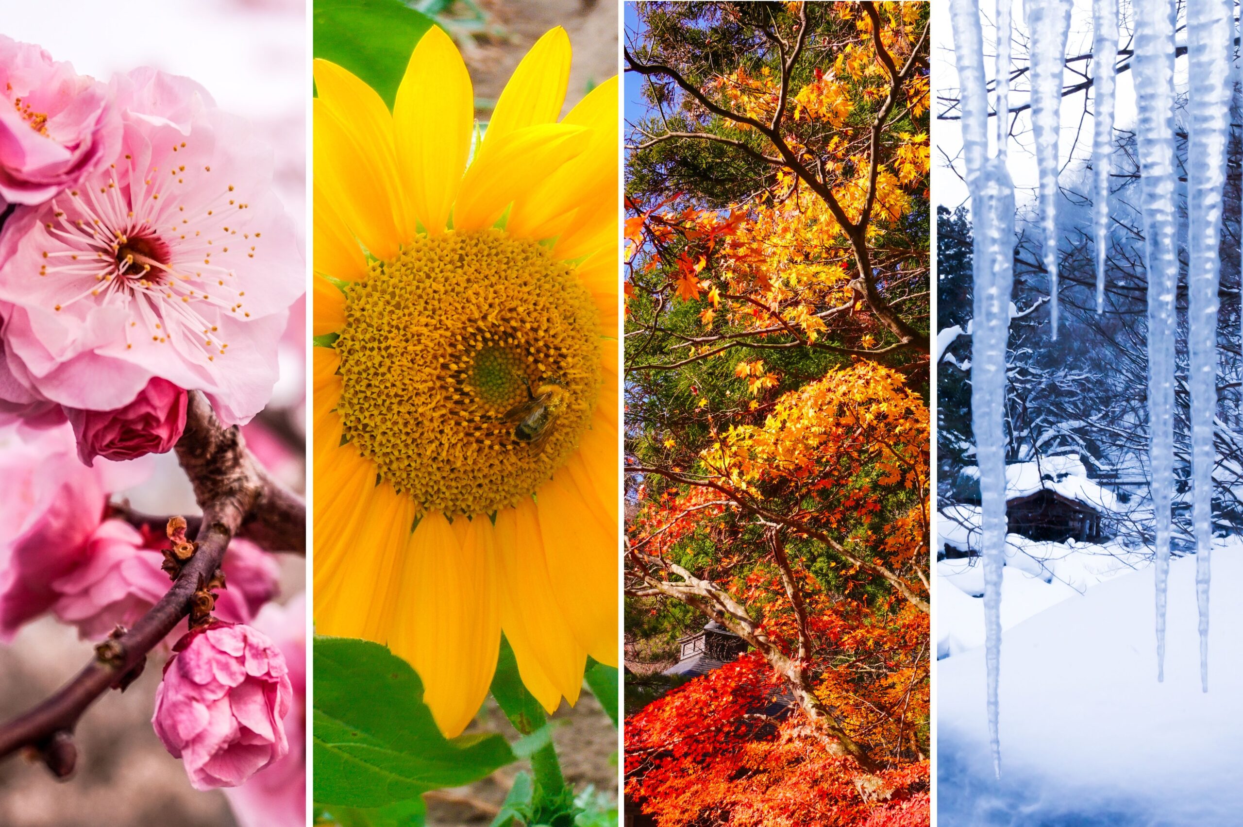 Thriving Together Series: Well-Being Practices for Different Seasons - Center for the ...