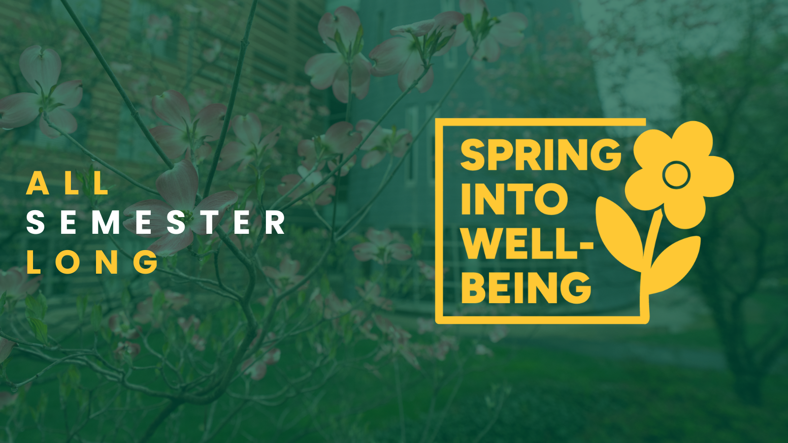 Spring into Well-Being - Center for the Advancement of Well-Being